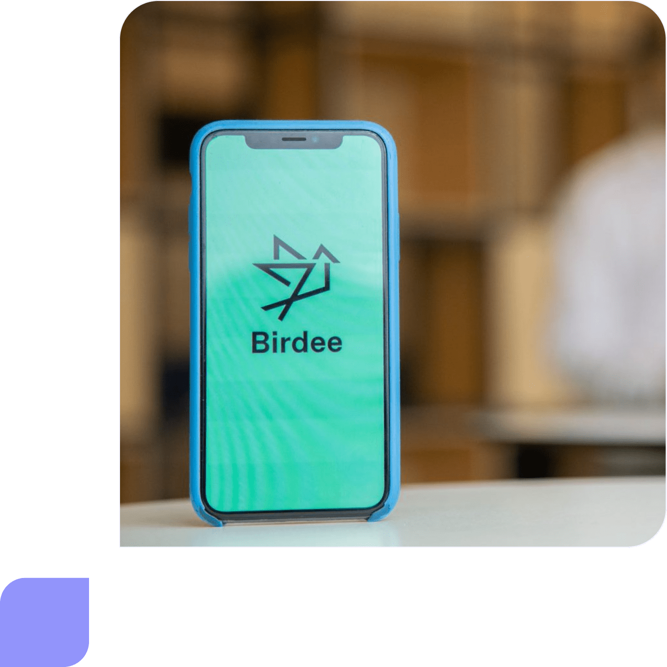 BIRDEE, INVERSIONES SOSTENIBLES